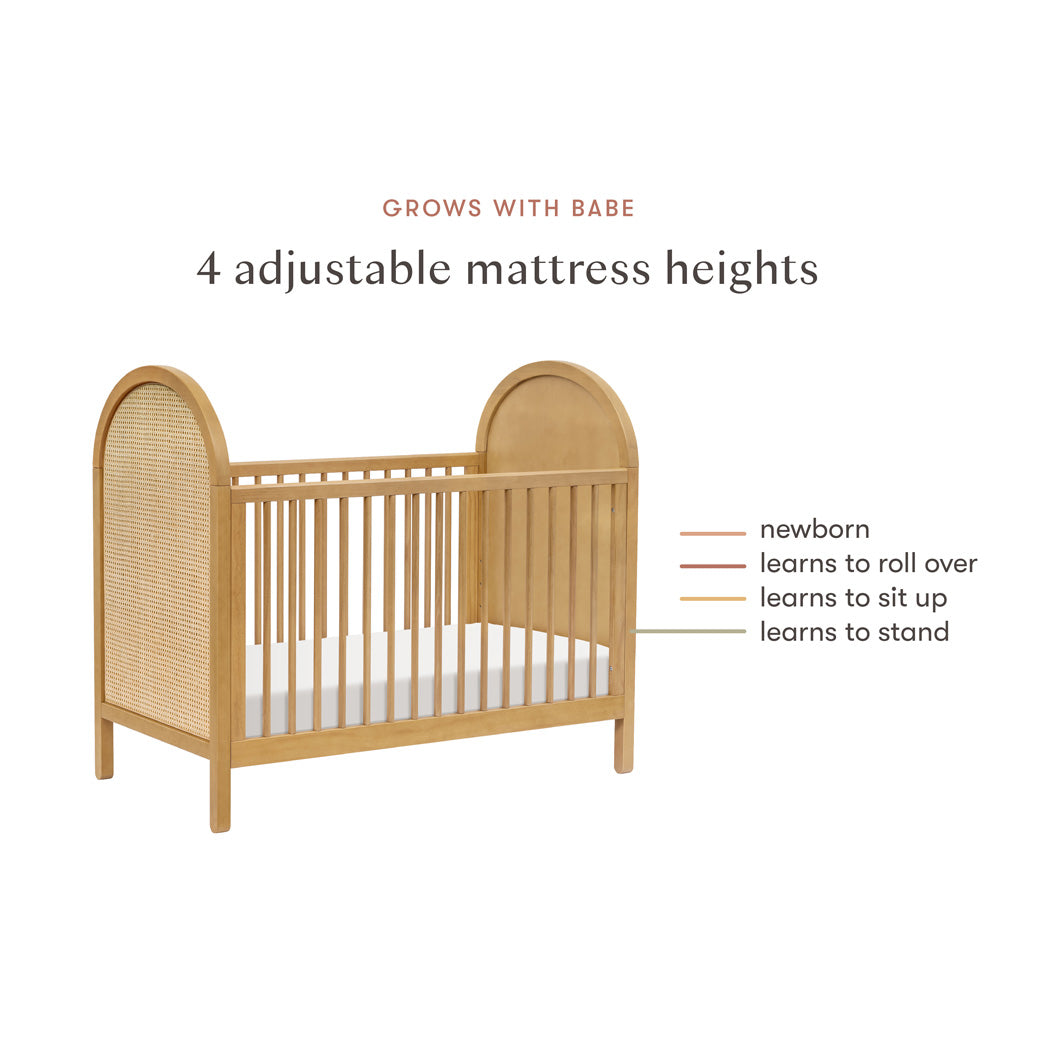 Babyletto Bondi Cane 3-in-1 Convertible Crib | Modern Nursery